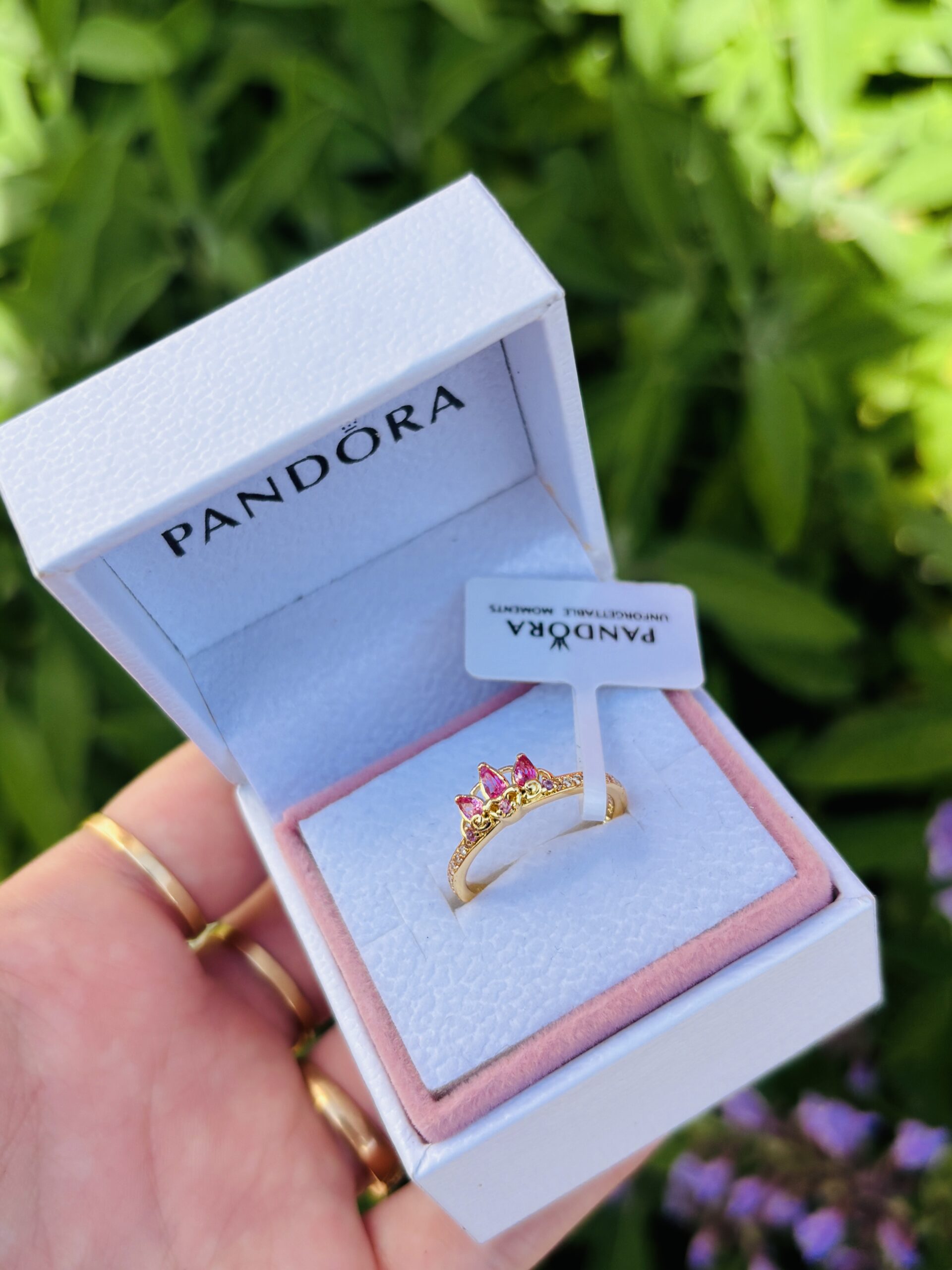 Anillo Rapunzel Pandora – FLOW.YI18K
